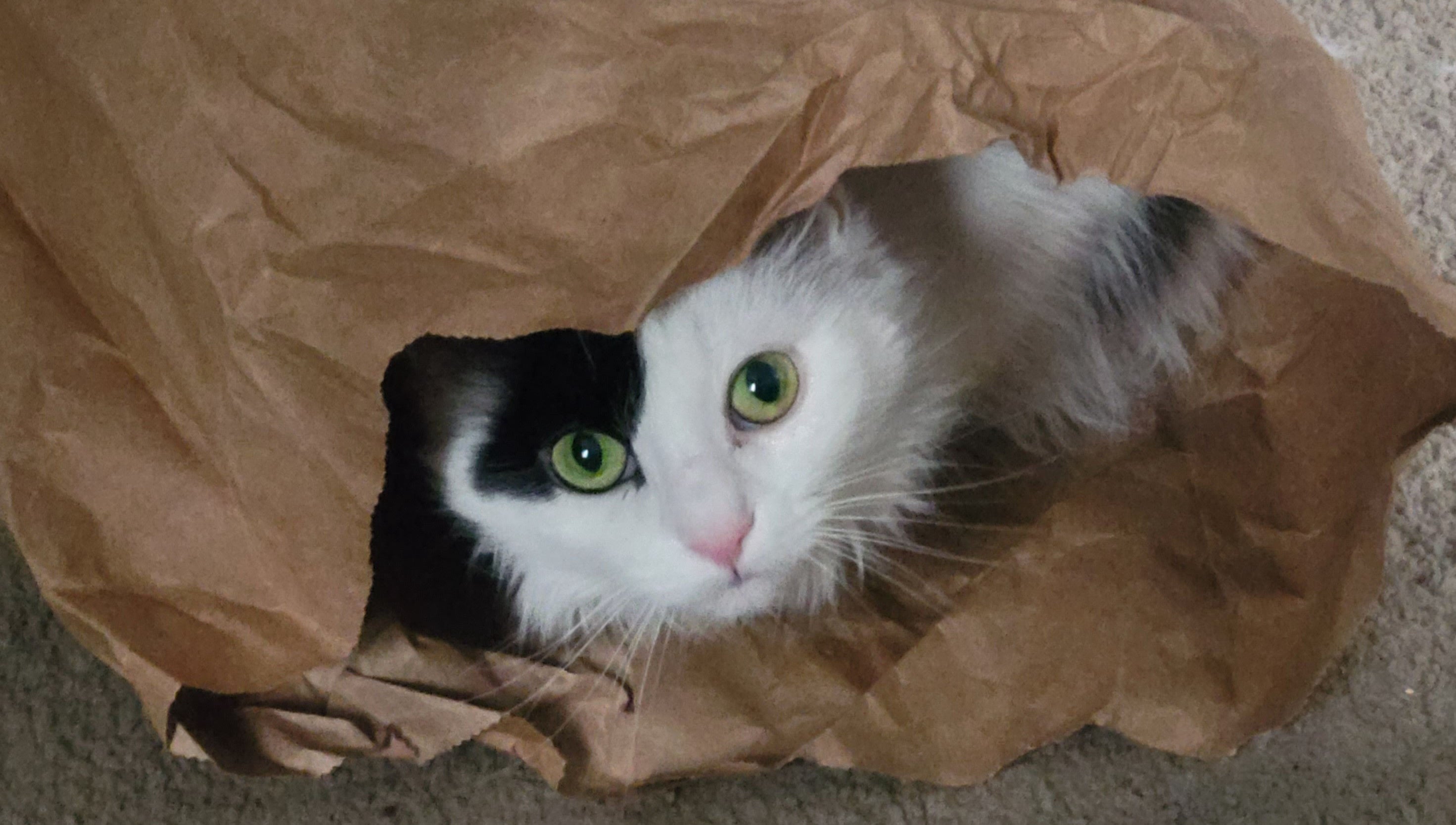 Cheatobeato Paradox Mods