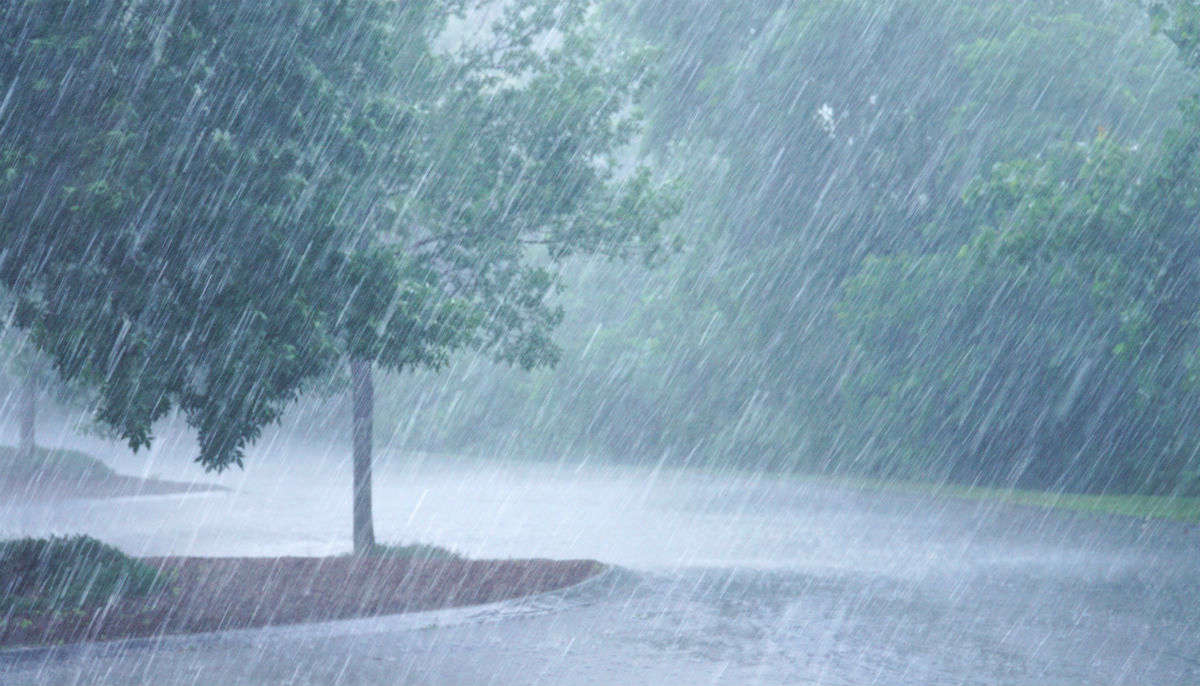 Carnalitas - Unified Sex Mod Framework for CK3 1.6.1 - Paradox Mods