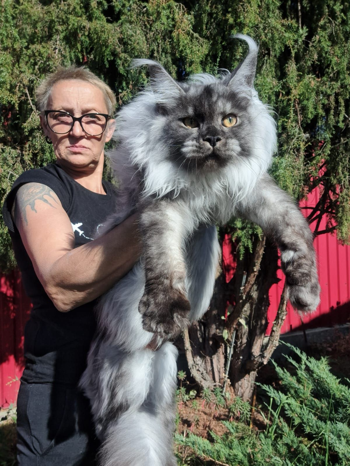 Population Control 1.12 - Paradox Mods