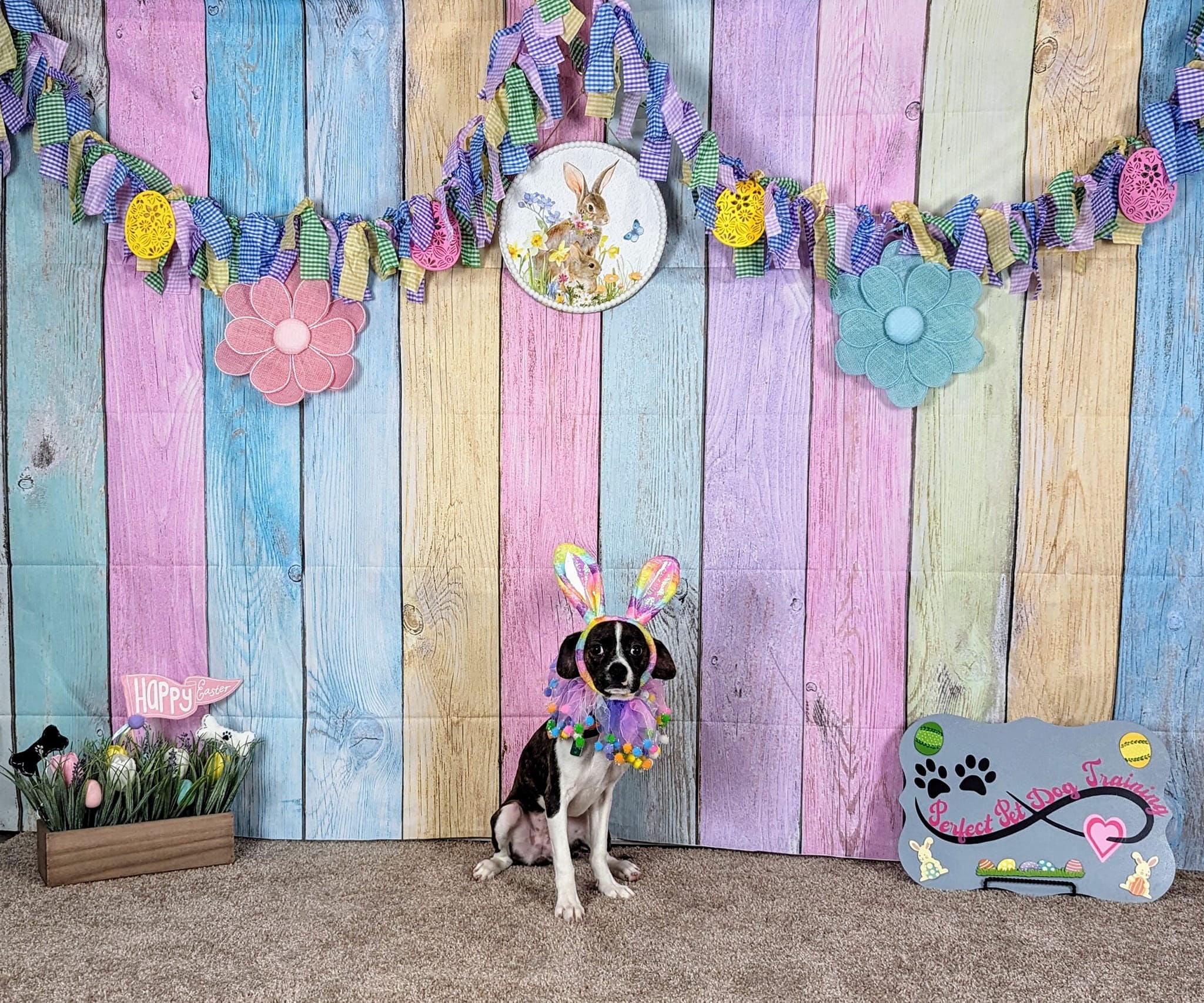 Mega Campaign - Paradox Mods