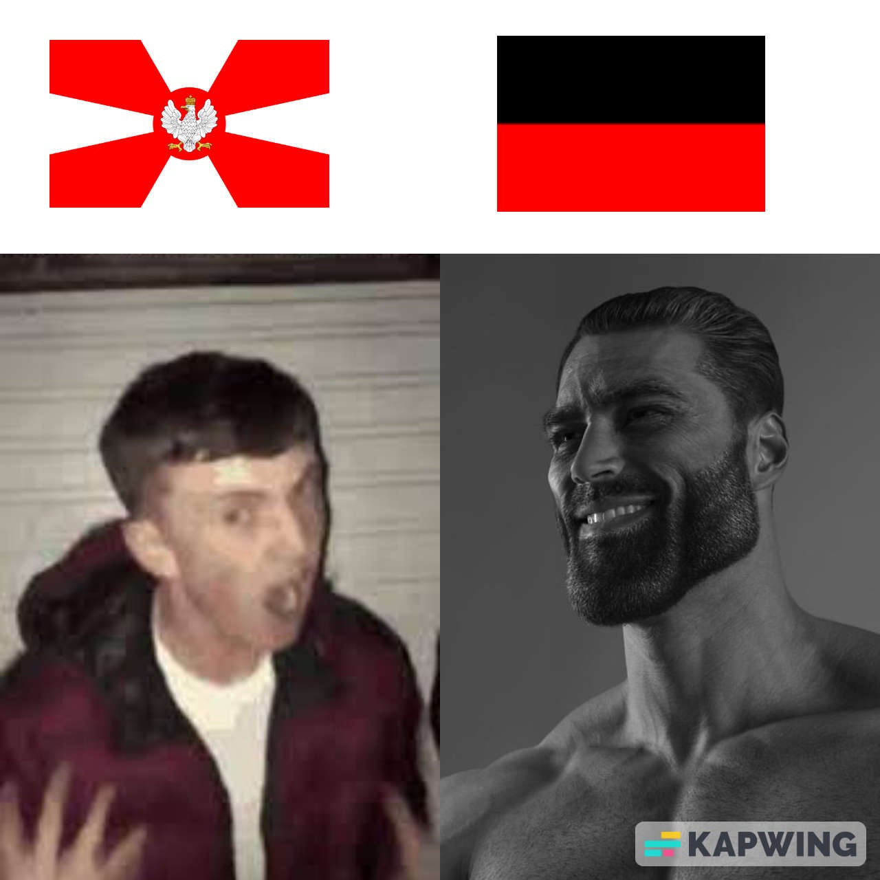 better poland fascism flag - Paradox Mods