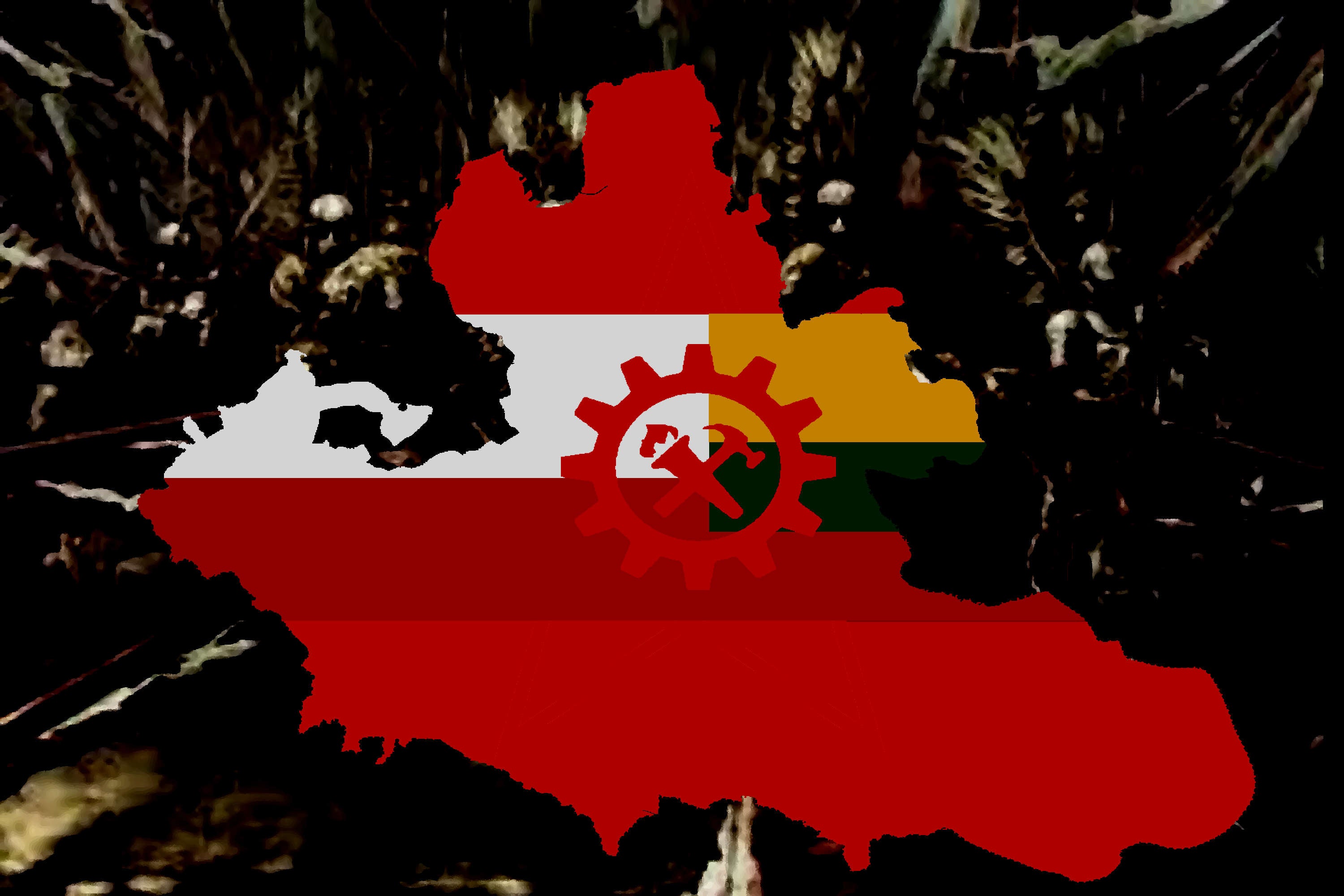 syndicalist Poland - Paradox Mods