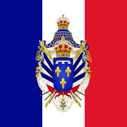 France - Fancy Orleanist Flag - Paradox Mods