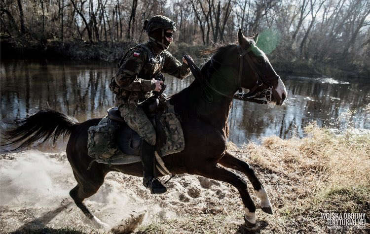 Polish GFX - Paradox Mods