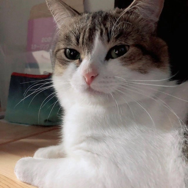 World of KXK ! - Paradox Mods