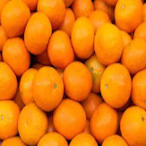 3o Oranges Society - Paradox Mods