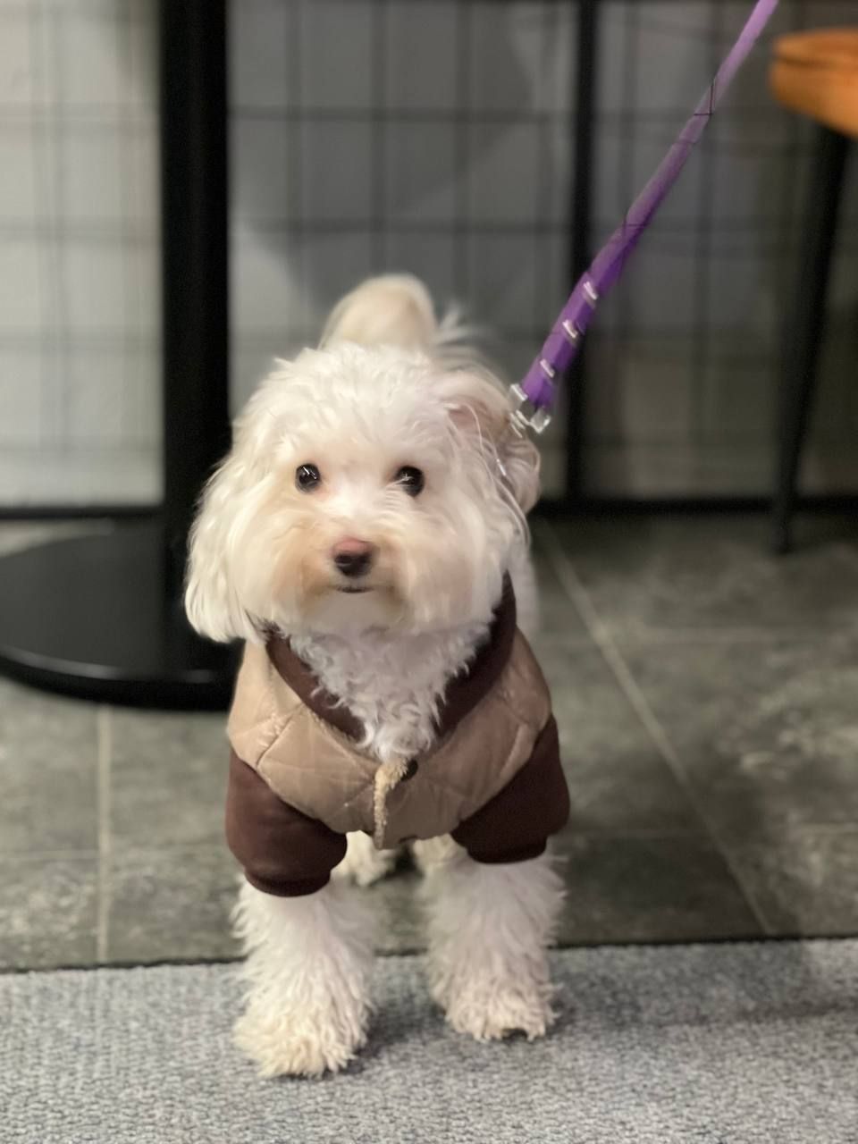 ChmoPixKozUI FIX overhaul extreme - Paradox Mods