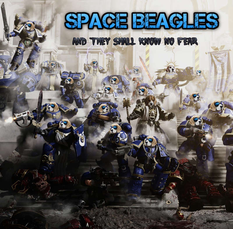 SPACE BEAGLES V3 (40K) - Paradox Mods