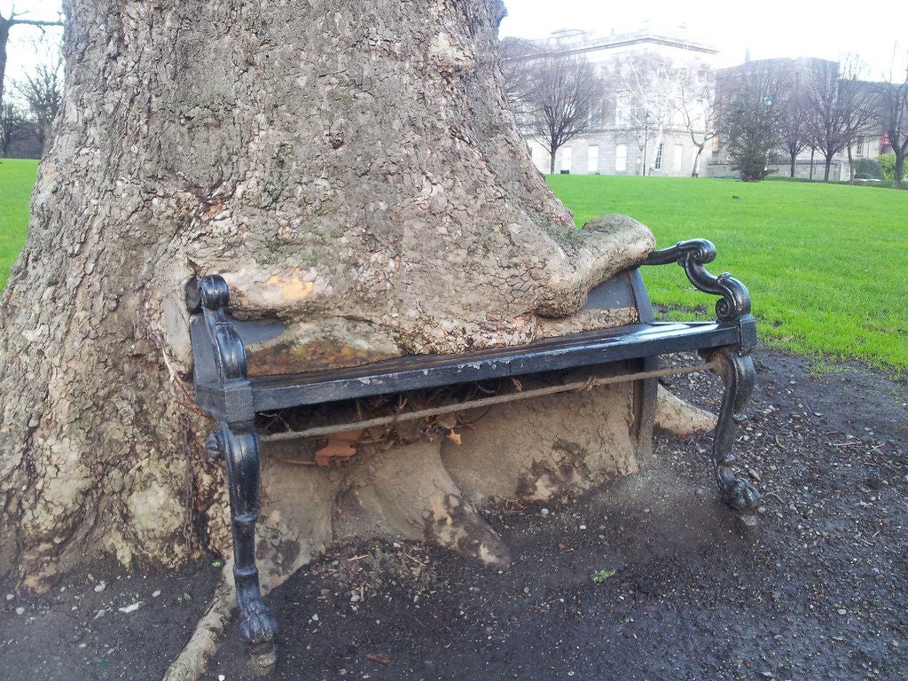 Devouring Tree - Paradox Mods