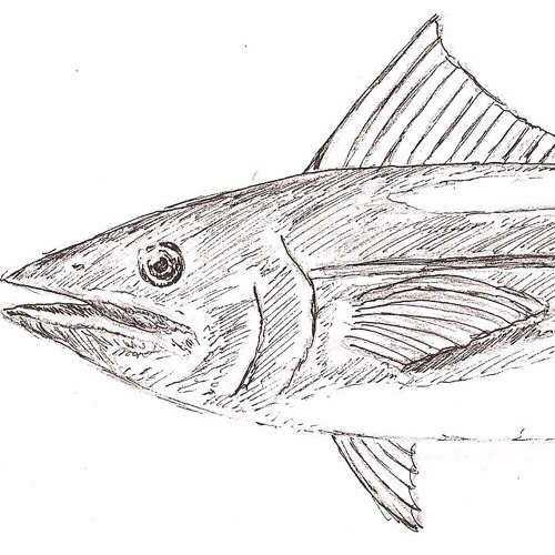 NSC_ship_computer_mod - Paradox Mods