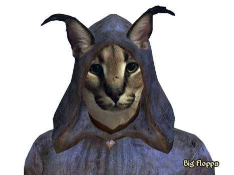 Floppa - Paradox Mods