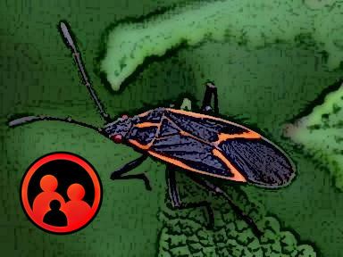 Fix Bugs - Paradox Mods